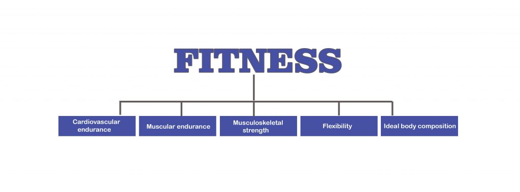 5 Components of Fitness